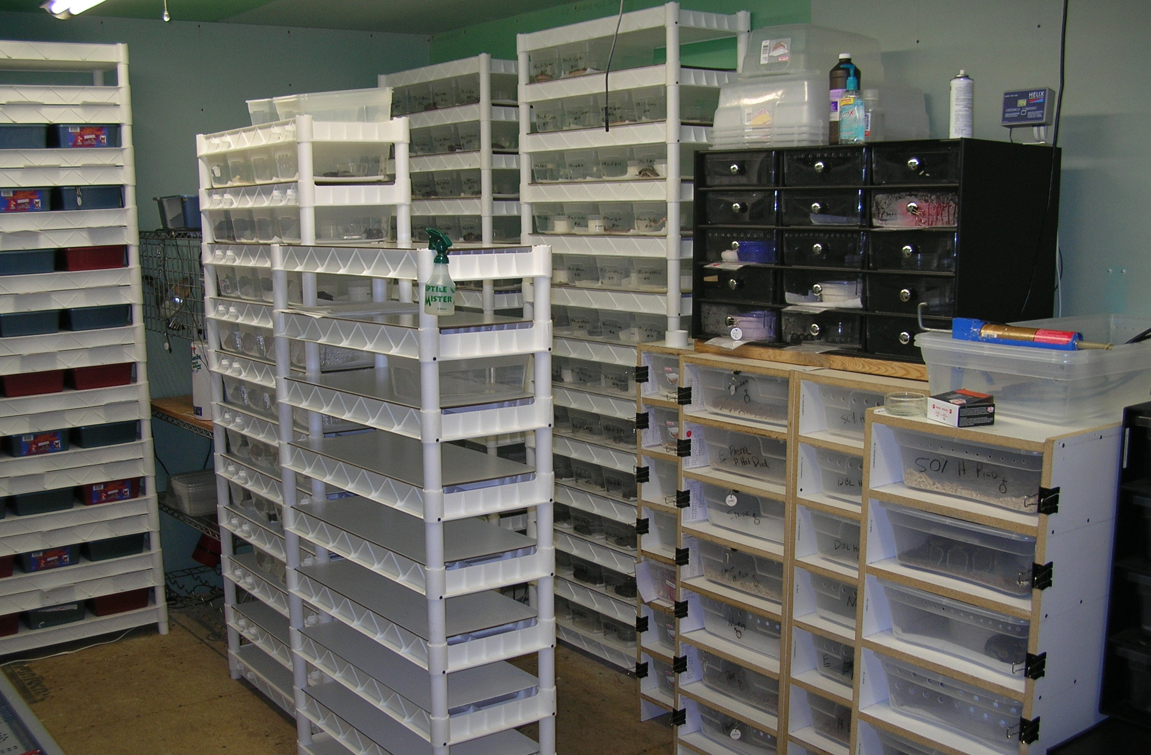 10 Tips for Constructing a Ball Python Room (works for lots of reptiles ...