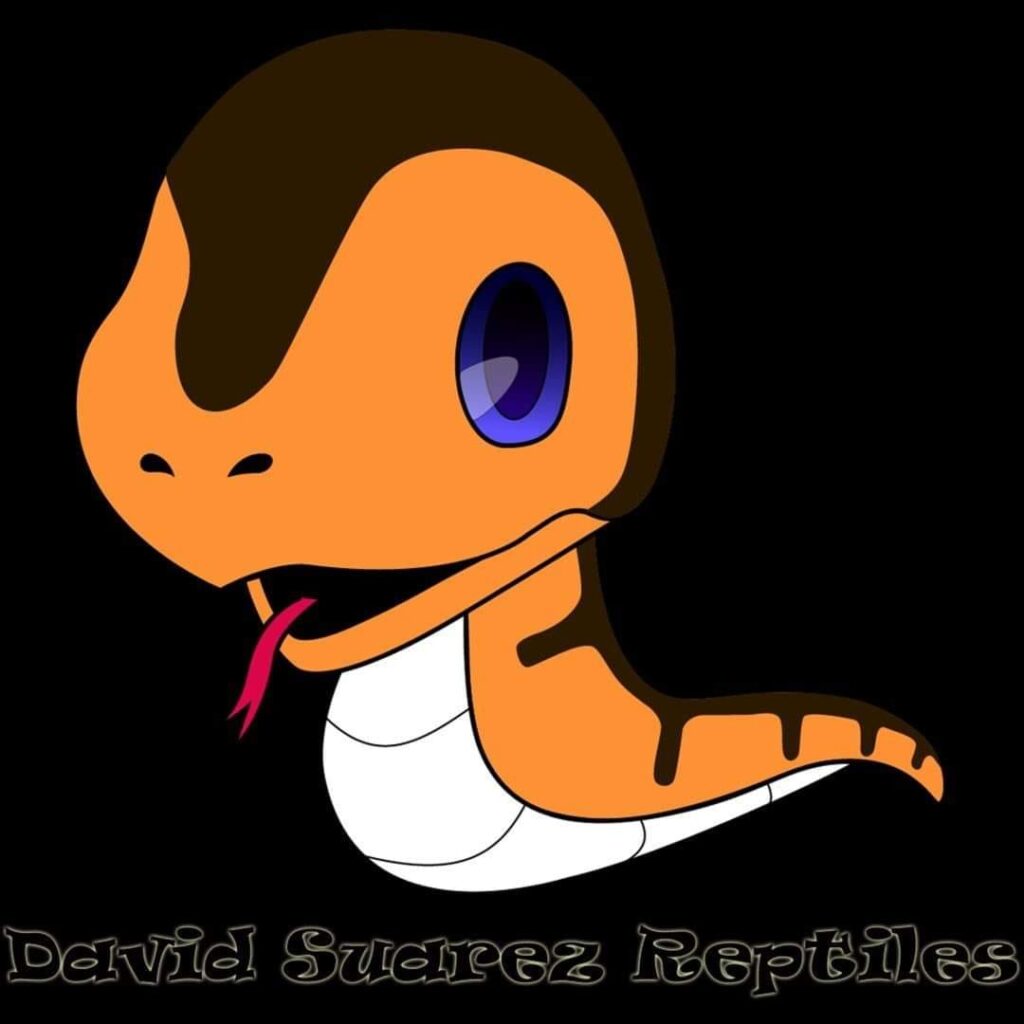 International Shipping – Kinova Reptiles