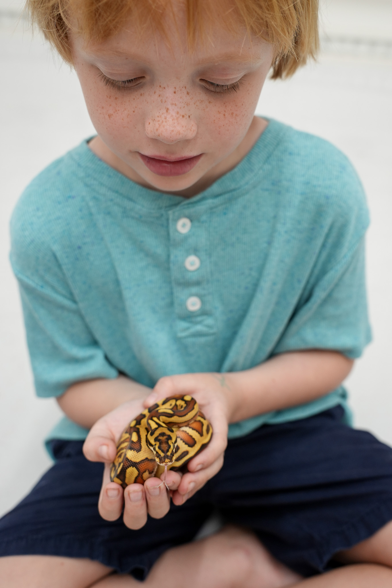 Pet Success Program – Kinova Reptiles