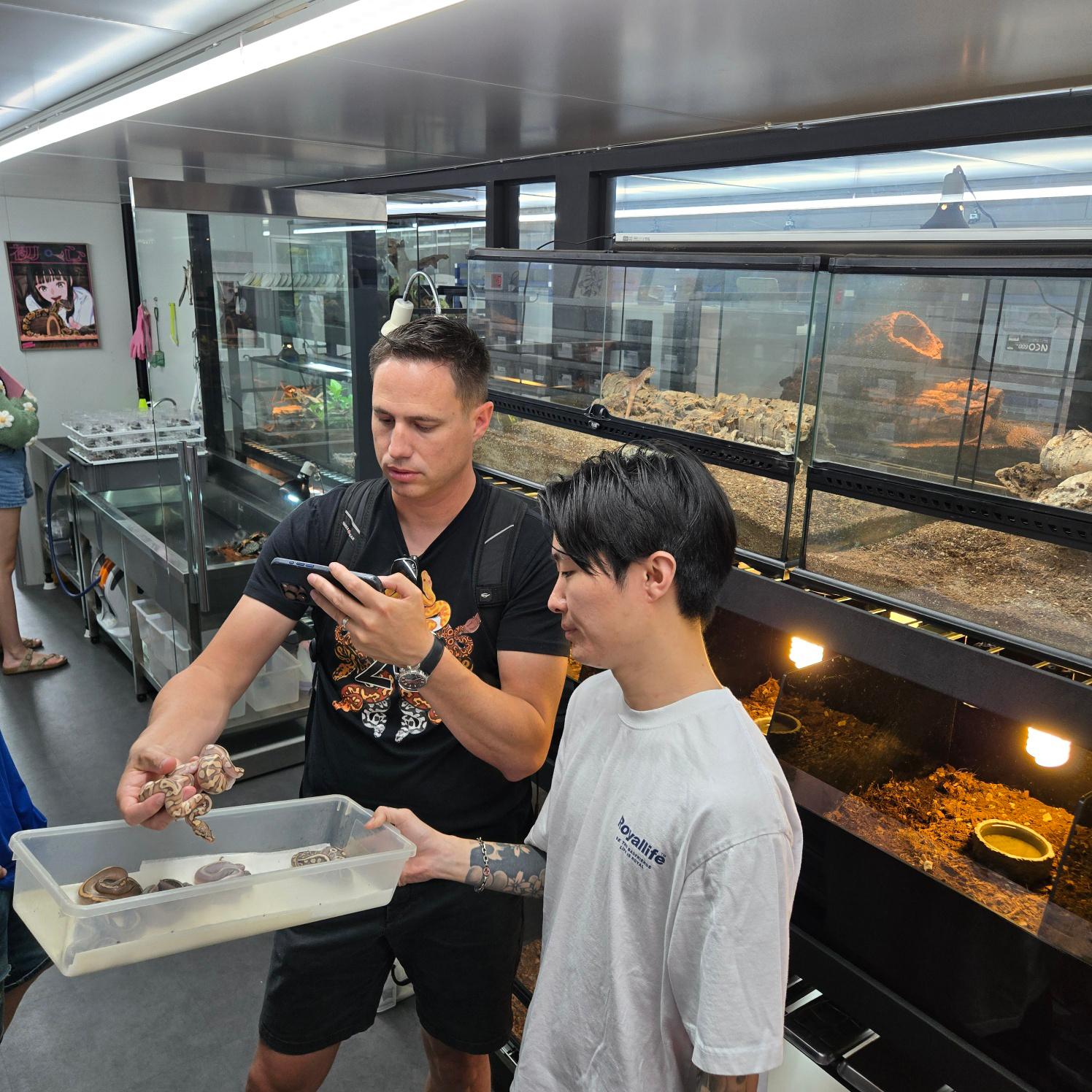 International Shipping – Kinova Reptiles